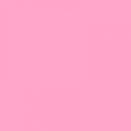 FONDO PAPEL FOTOGRAFÍA 2X5M ROSA ROSADO (17) – Fotosimple.cl